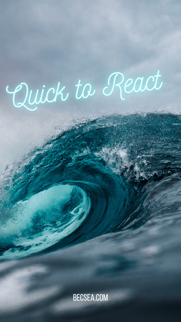 Quick to react – BECSEA